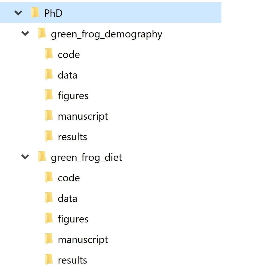 Project Organization